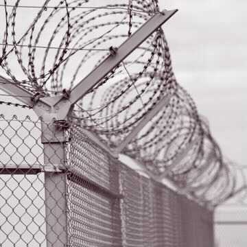 STCA_Square | Canadian Council for Refugees